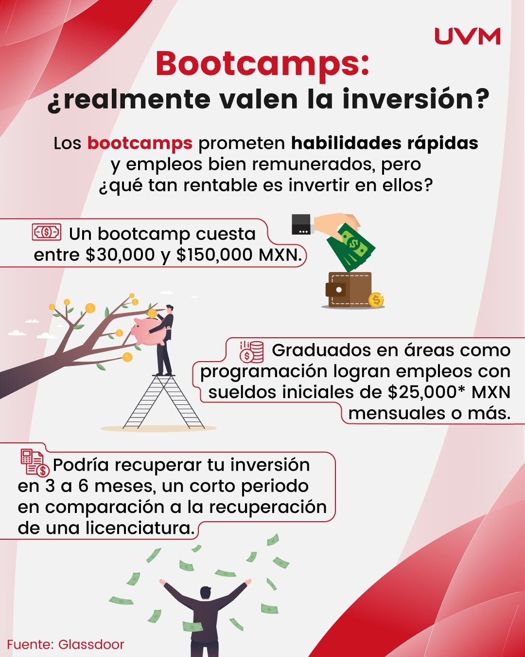 El auge de los bootcamps y cursos intensivos: ¿reemplazarán a la ...