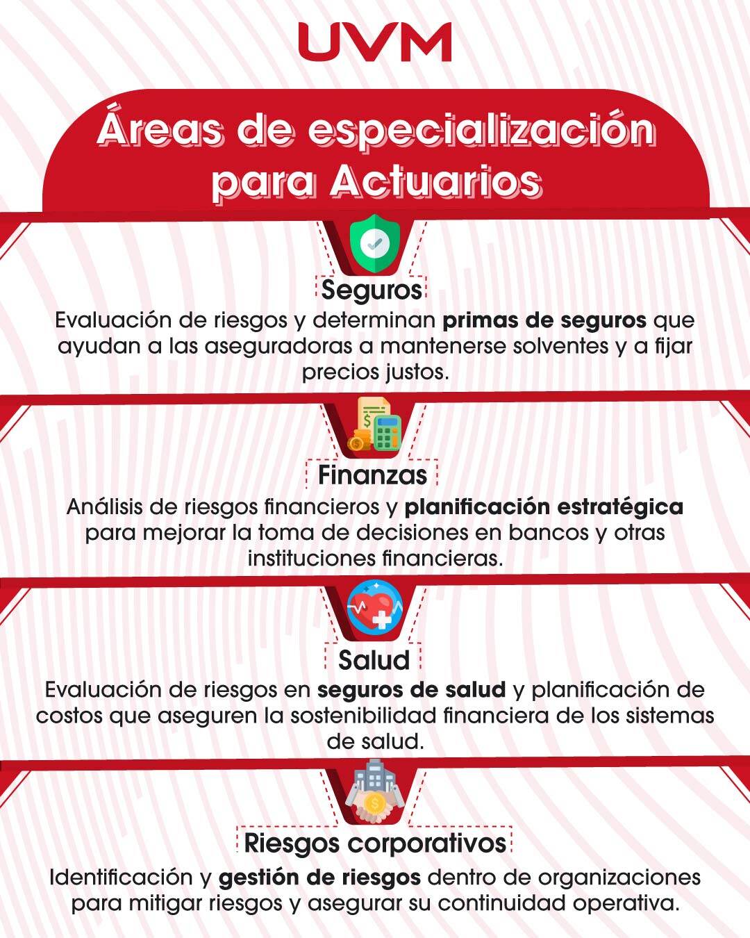 ¿Qué es la actuaría y a qué se dedica un profesional?